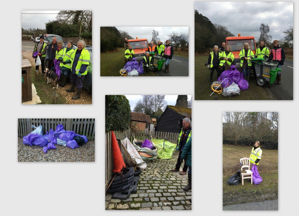 3-2016 - Minstead Village