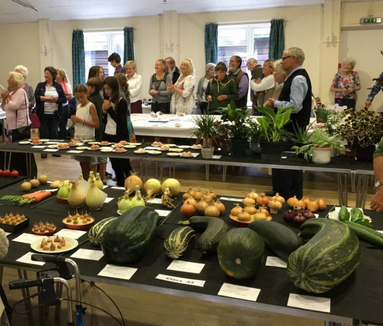 FullSizeRender - Minstead Village